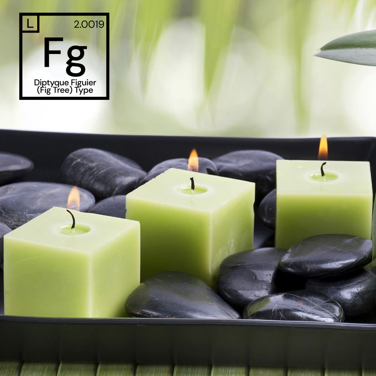 Diptyque Figuier (Fig Tree) Type Fragrance #2.0019 – Fragrances 2 Order ...